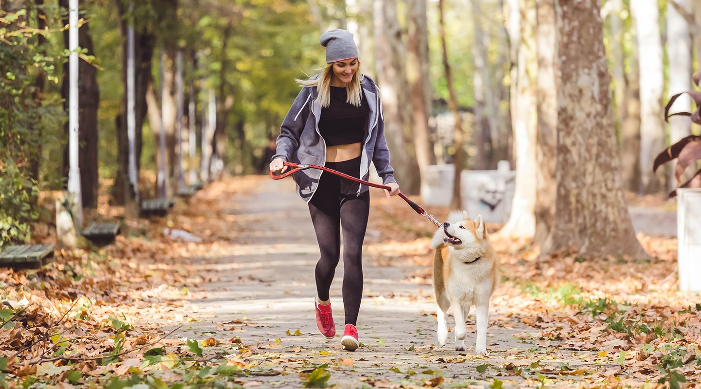 Saveti za džogiranje sa psom - Generali Blog
